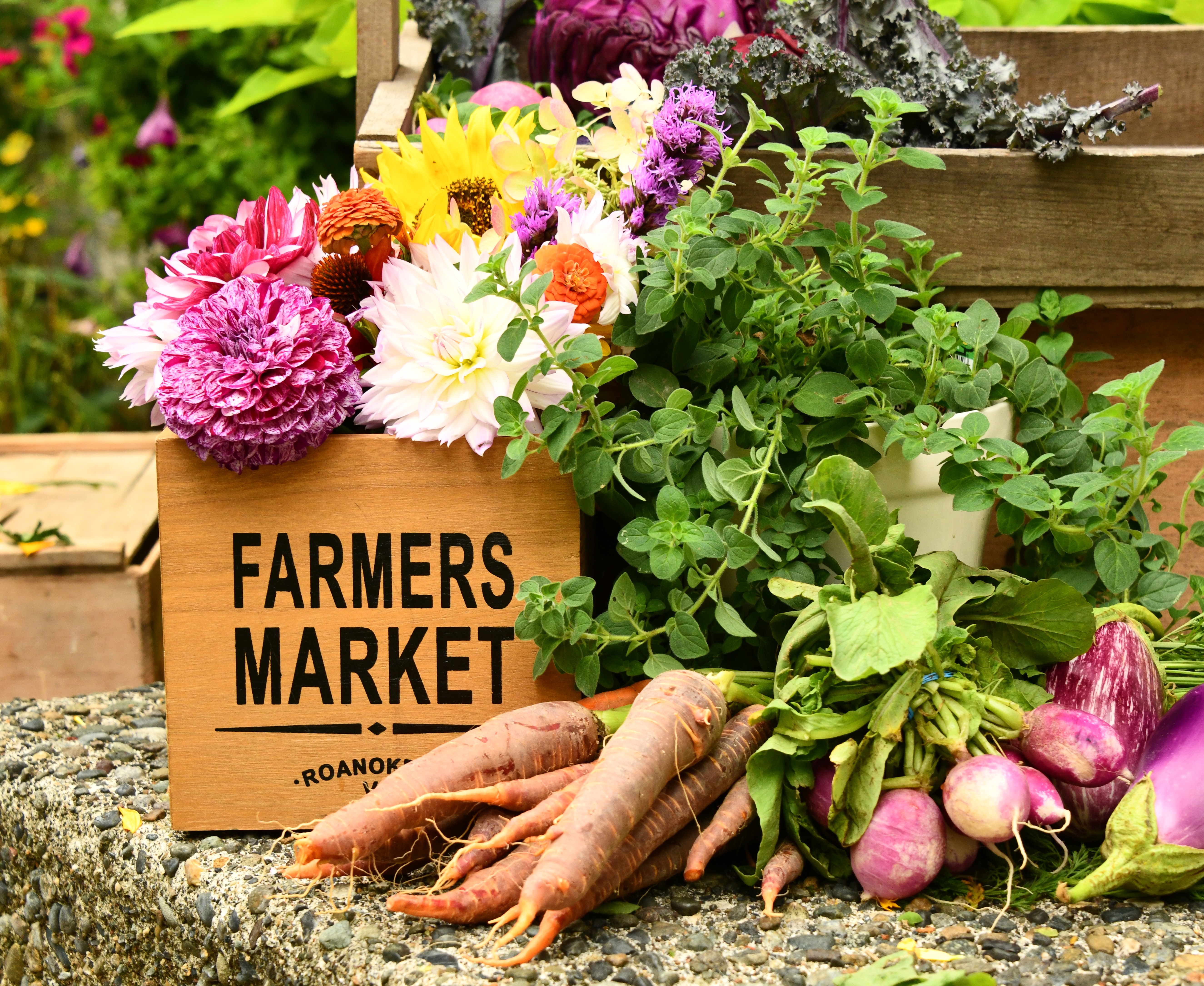 Farmers Market Management Software